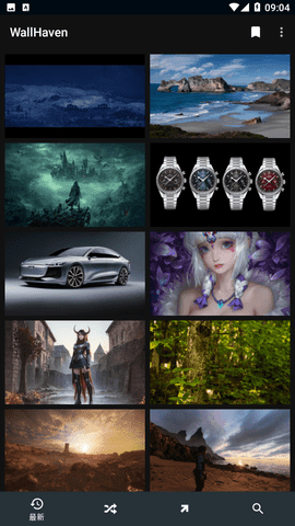 wallhaven官网版中文v6.6.6下载 -lulinux